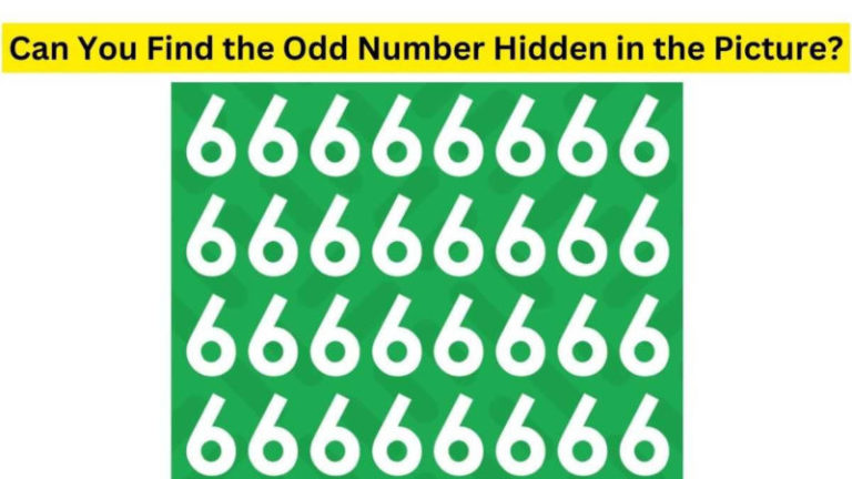 Just for the genuises. Can you find the Odd number hidden in the picture?
